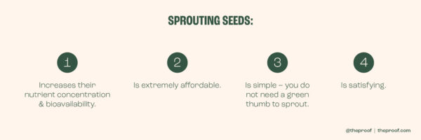 Your Sprouting 101 Guide - The Proof