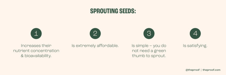 Your Sprouting 101 Guide - The Proof
