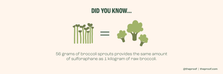 Your Sprouting 101 Guide - The Proof