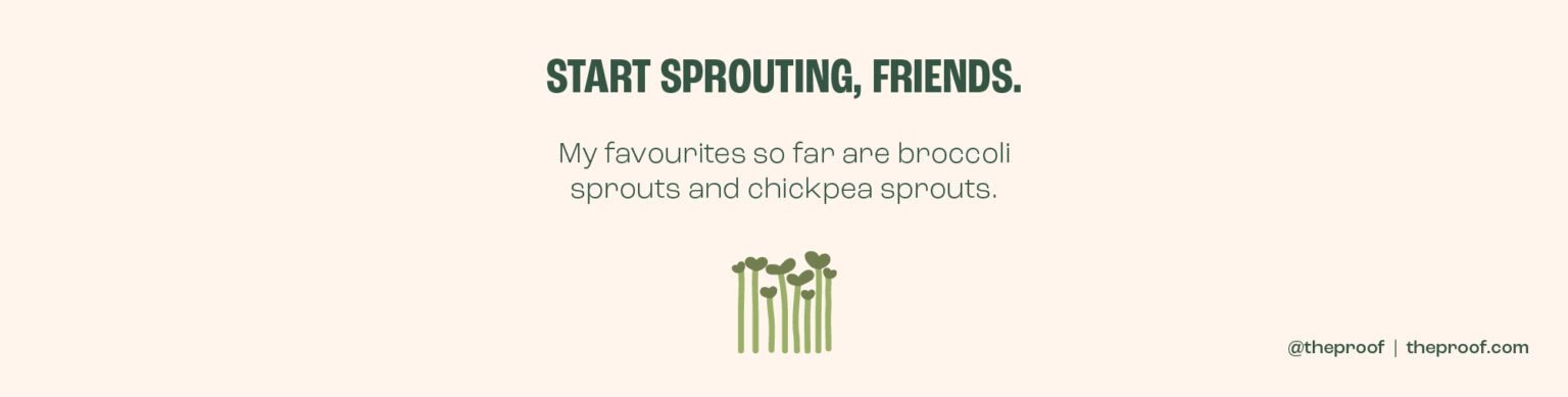 Your Sprouting 101 Guide - The Proof