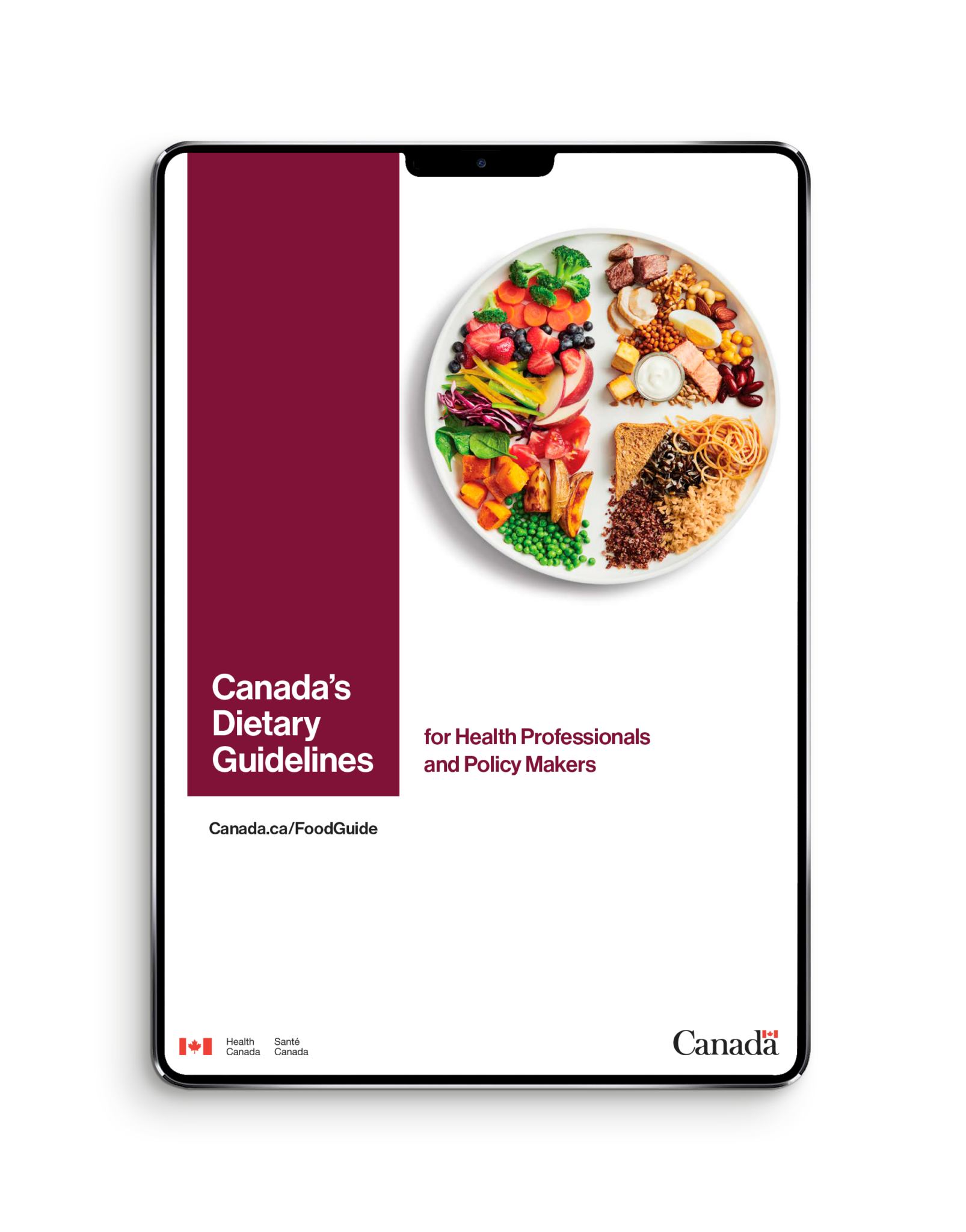 Nutrition Guidelines - TY - The Proof