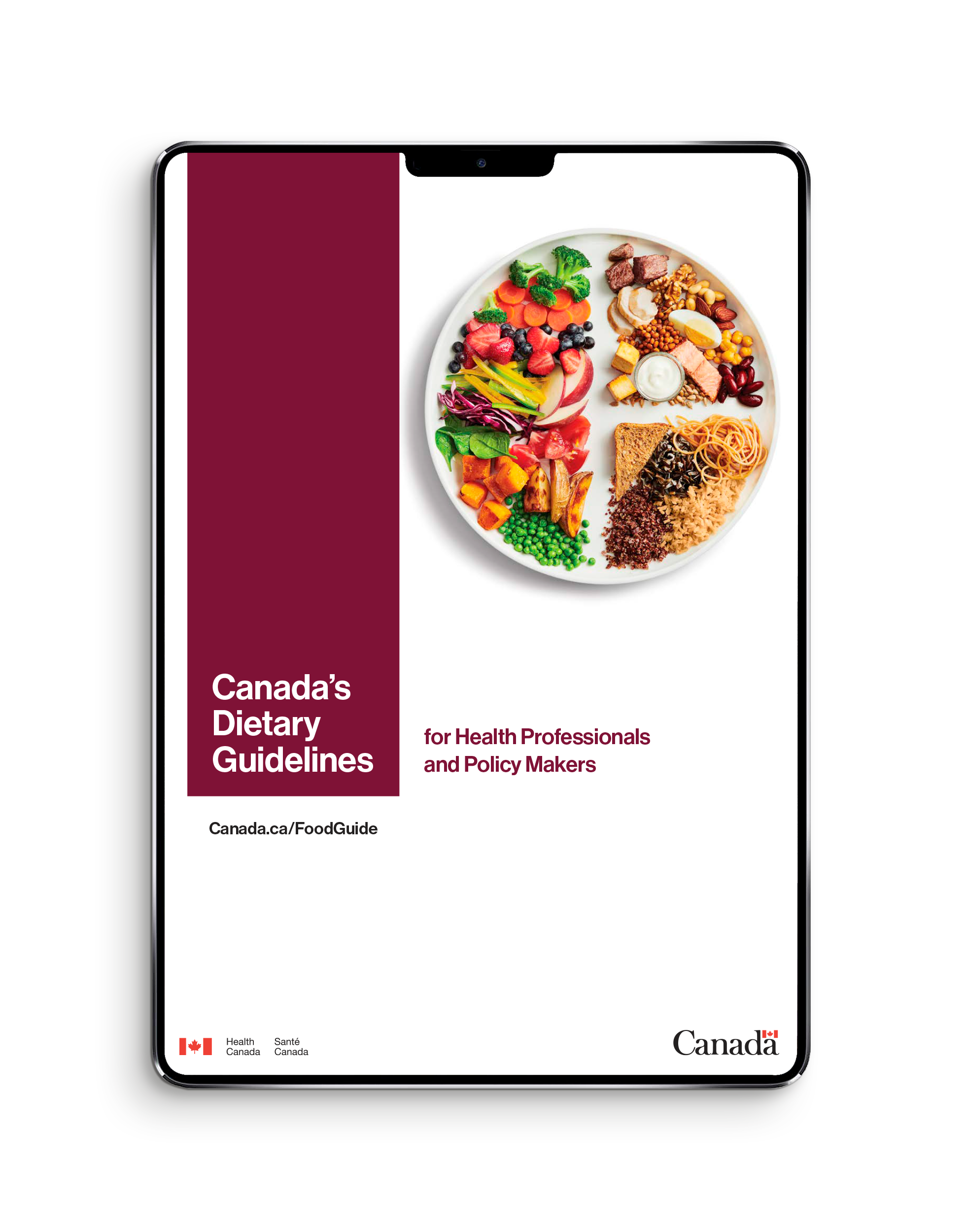 Nutrition Guidelines - TY - The Proof