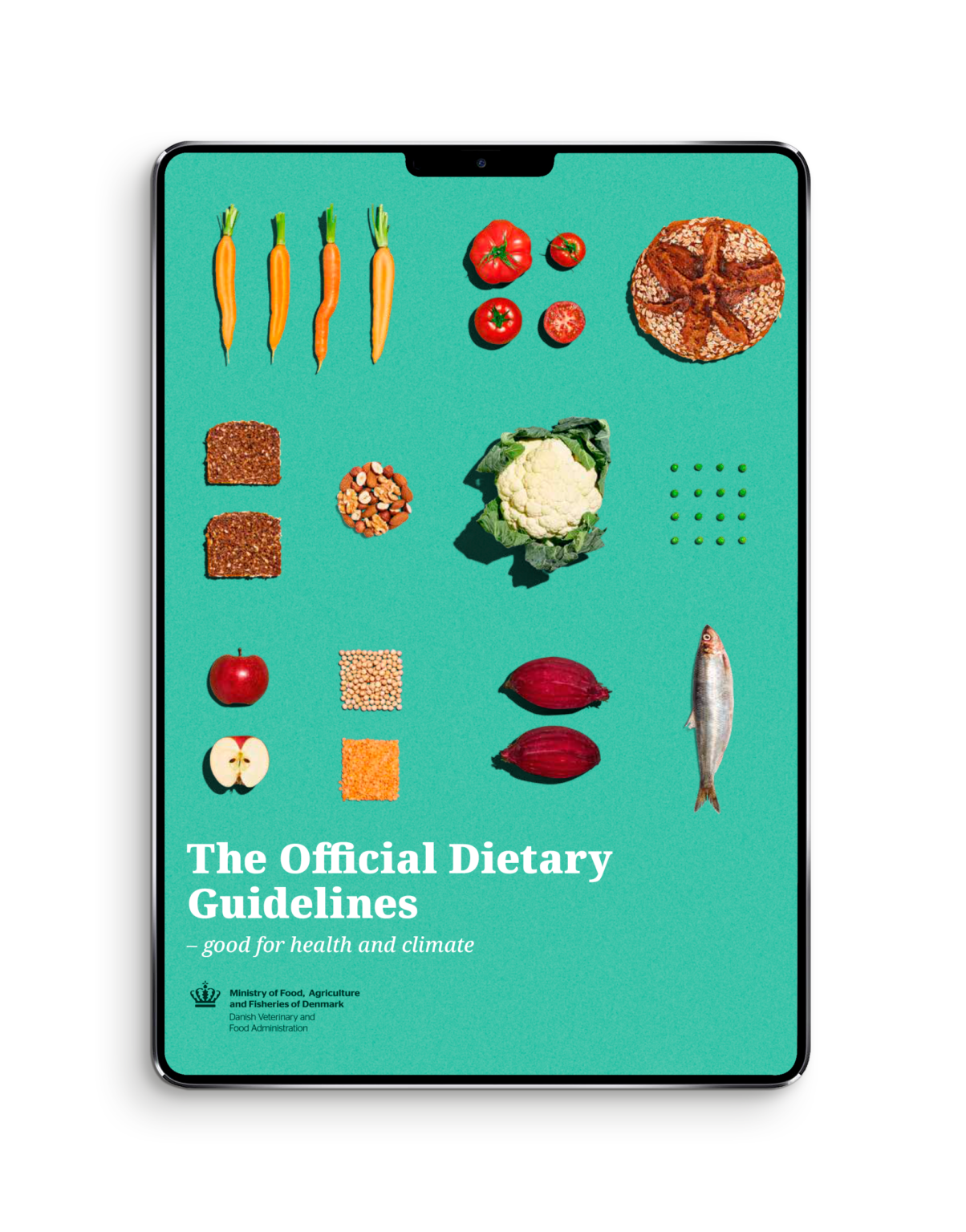 Nutrition Guidelines - TY - The Proof