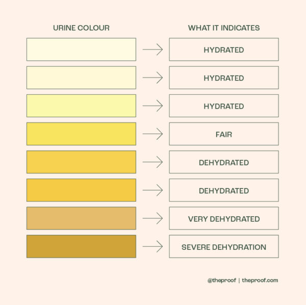 What’s an optimal hydration strategy for exercise? - The Proof